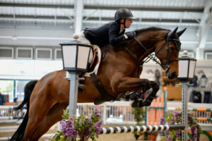 Events Calendar – Aintree International Equestrian Centre