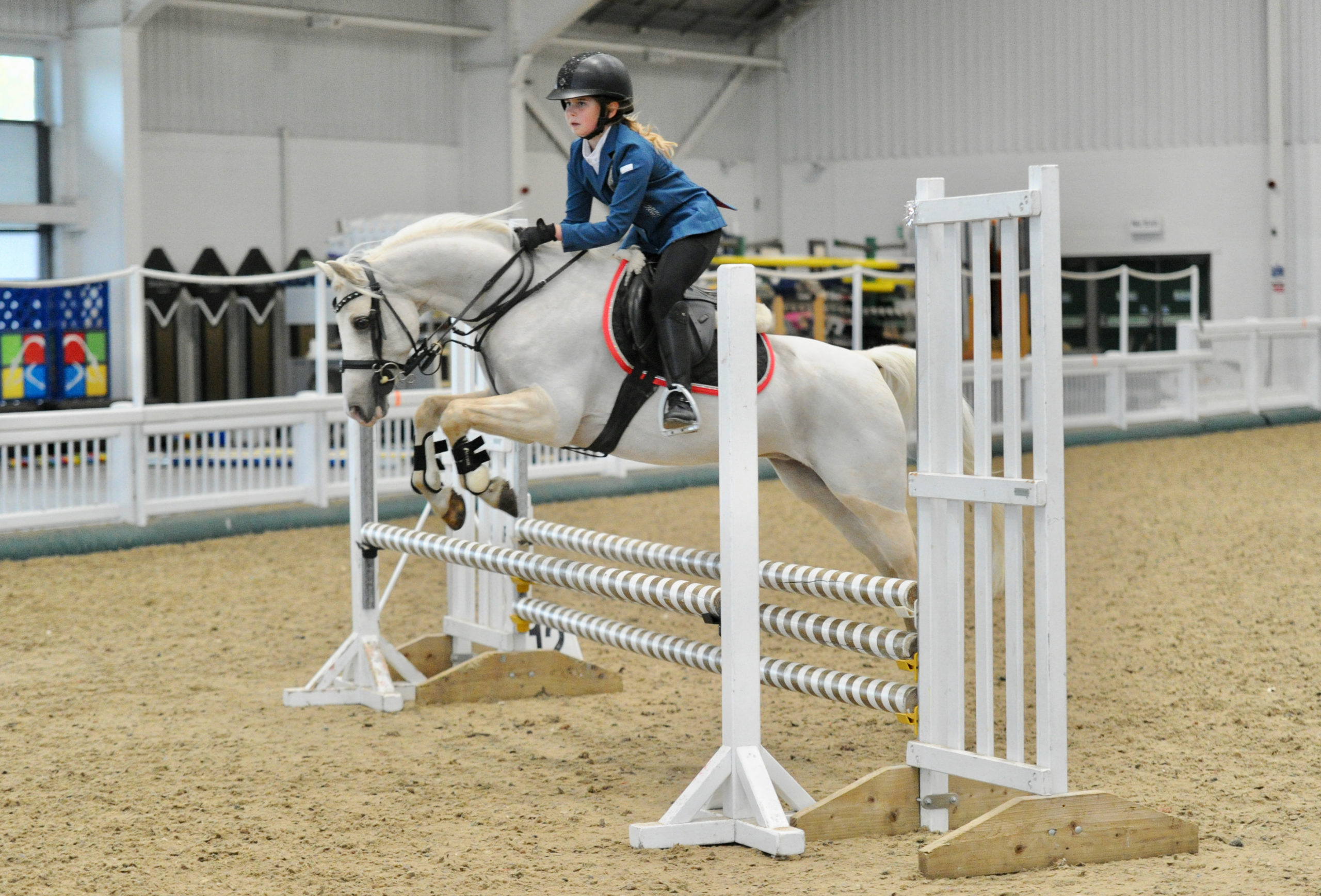 Aintree International Equestrian Centre