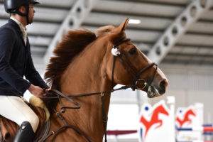 Events Calendar – Aintree International Equestrian Centre